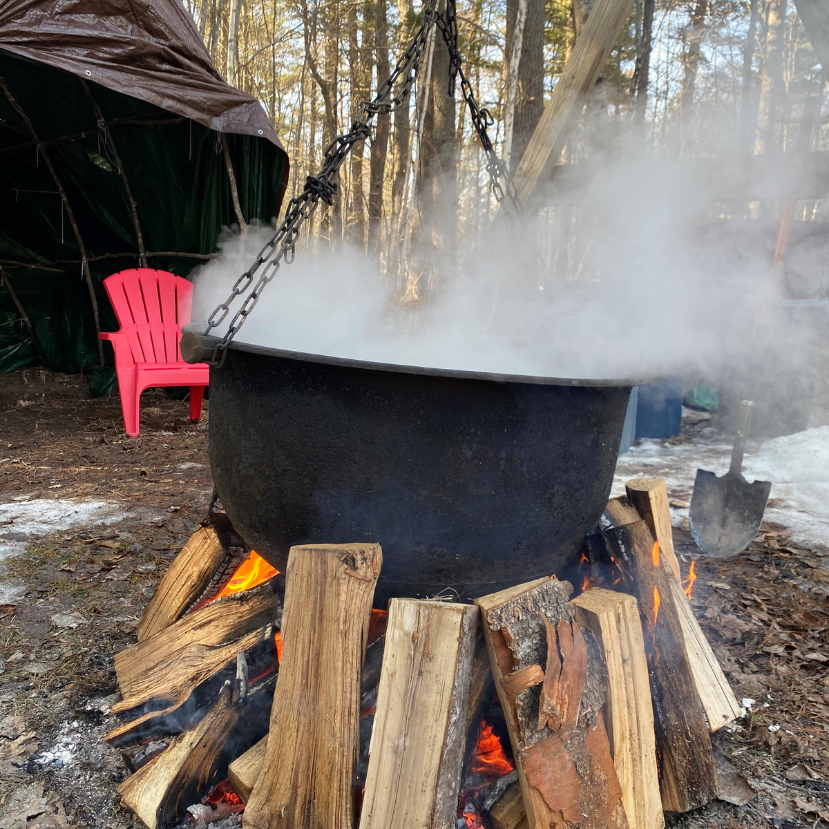 Sugarbush Time! – Heart Berry